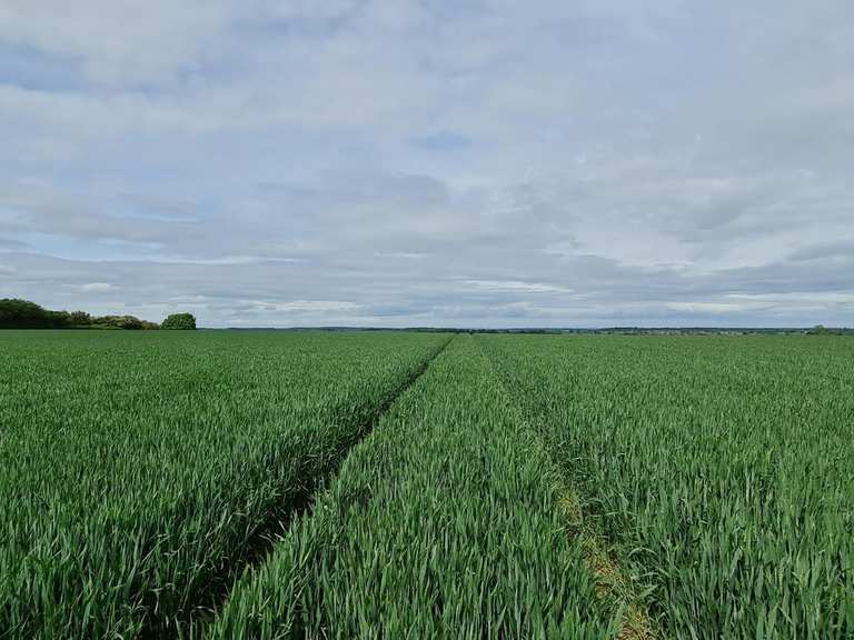 Top 10 Bike Rides and Cycling Routes around Gamston | Komoot