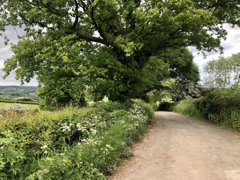 Top 10 Bike Rides and Cycling Routes around Mapperley | Komoot