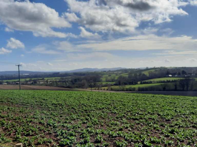 Top 10 Hikes and Walks around Moreton On Lugg | Komoot