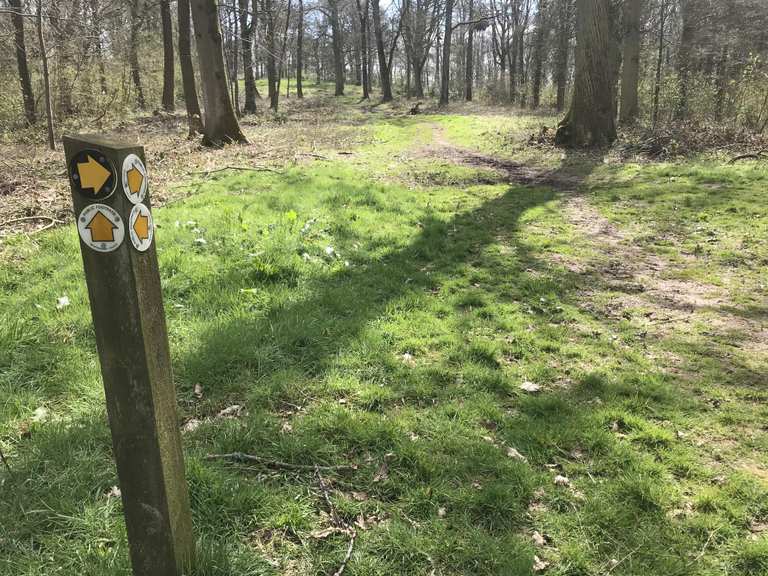 Attractions and Places To See around Aconbury - Top 20 | Komoot