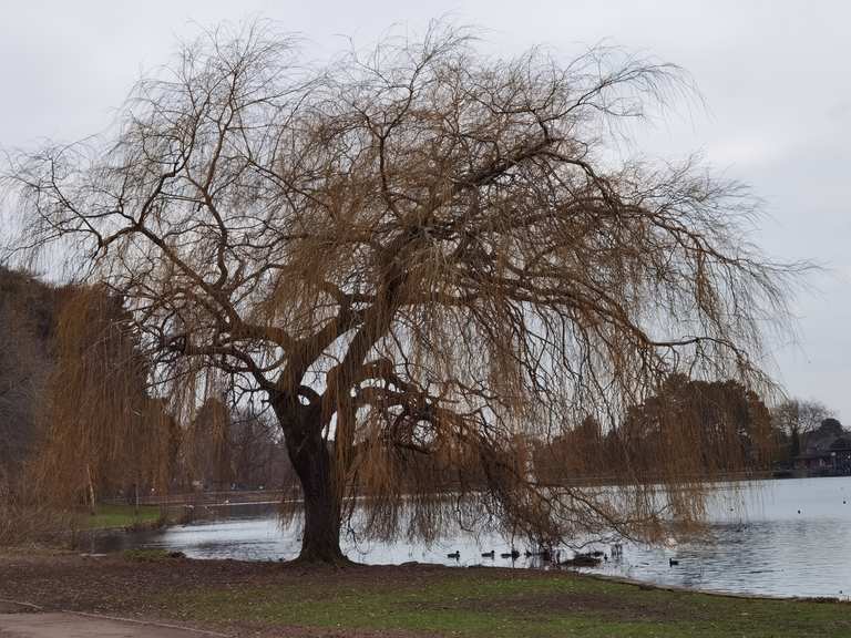 Die 10 schönsten Wanderungen rund um Penylan | Komoot