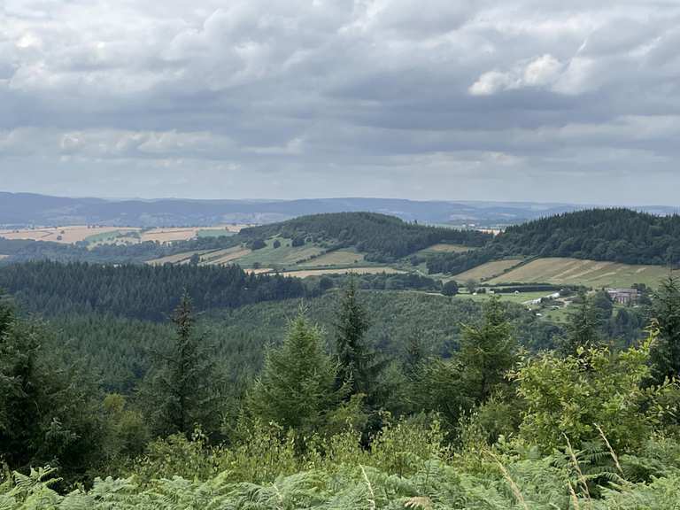 Top 7 Hikes and Walks around Richard's Castle | Komoot