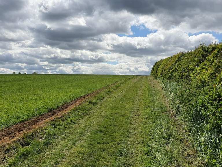 The best walks and hikes around Upper Heyford | Komoot