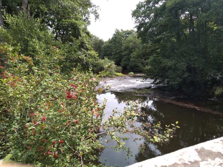 De 10 mooiste wandelroutes rond Welsh Newton | Komoot