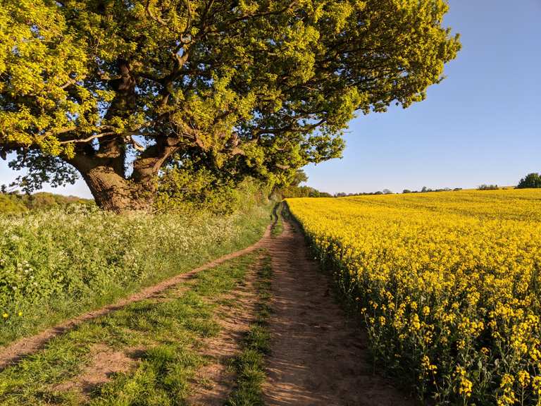 Top 10 Bike Rides and Cycling Routes around Holmesfield | Komoot