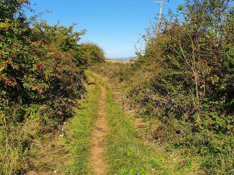 Die 5 schönsten Wanderungen rund um Colesbourne | Komoot