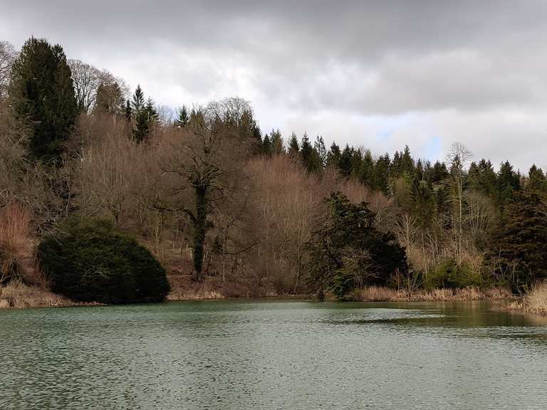 Top 10 Hikes and Walks around Miserden | Komoot