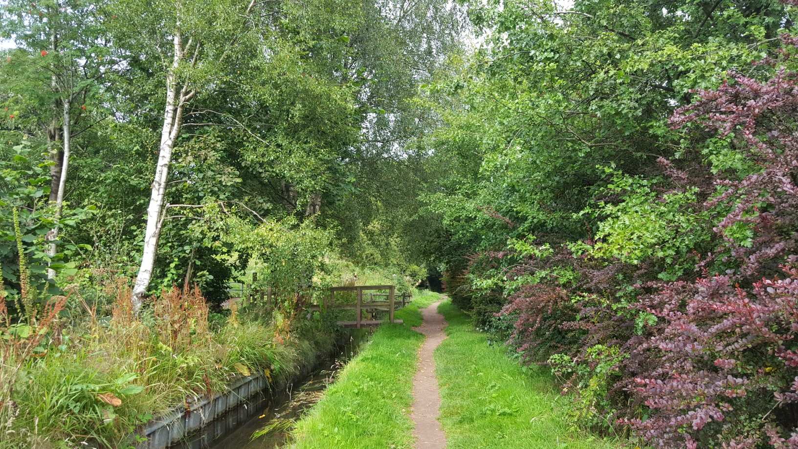 Top 20 Hikes and Walks around Leek | Komoot