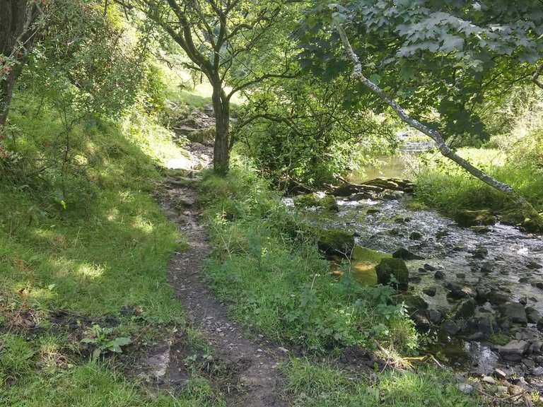 Top 10 Hikes and Walks around Butterton | Komoot