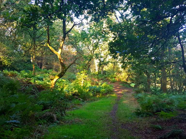 Top 10 Hikes and Walks around Congleton | Komoot