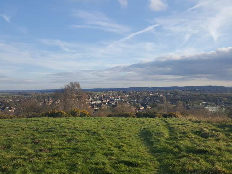 Top 10 Hikes and Walks around Dilhorne | Komoot