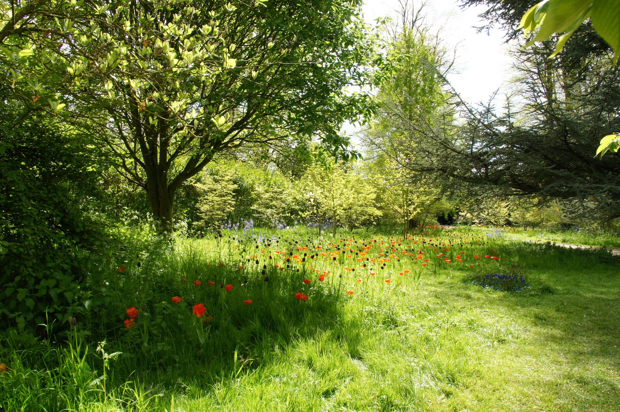 Top 10 Hikes and Walks around Swindon | Komoot