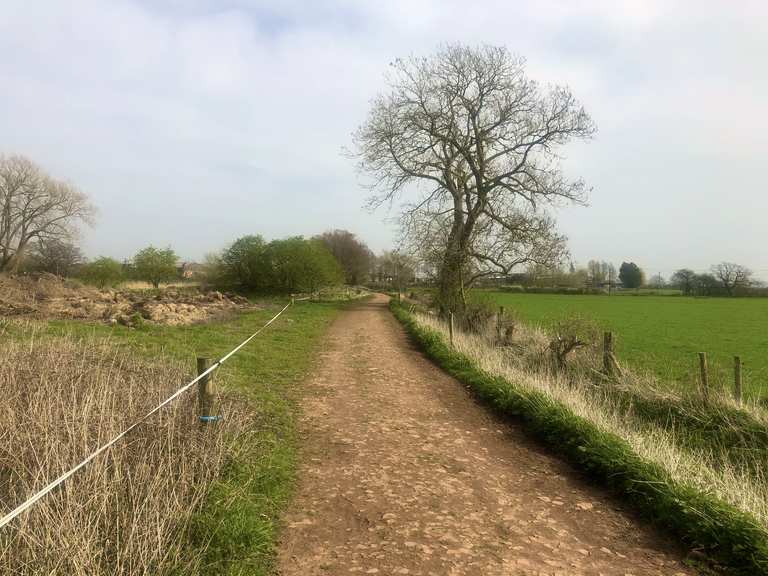 Top 8 Hikes and Walks around Lydney | Komoot