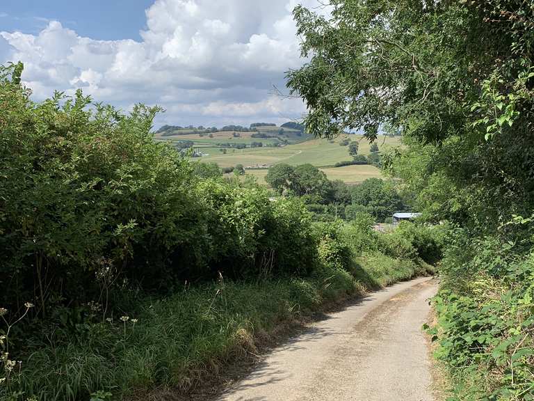 Top 10 Hikes and Walks around Castle Cary | Komoot