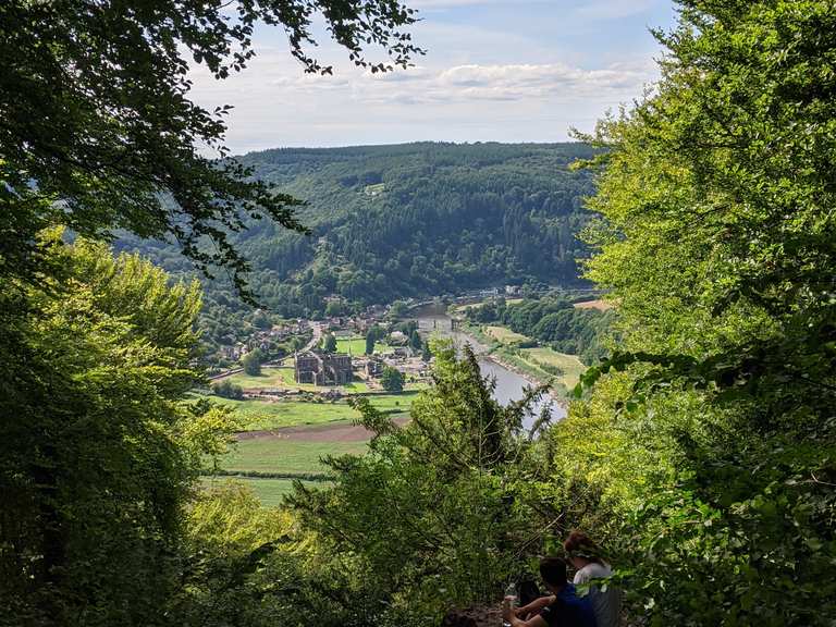 Die 10 schönsten Wanderungen rund um Woolaston | Komoot