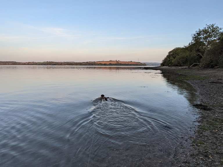 De 10 mooiste wandelroutes rond Landulph | Komoot