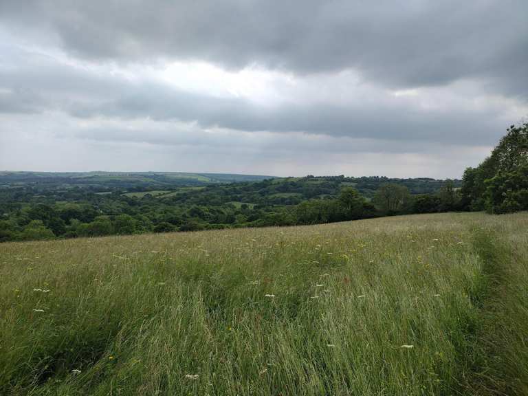 Top 10 Hikes and Walks around Wraxall | Komoot