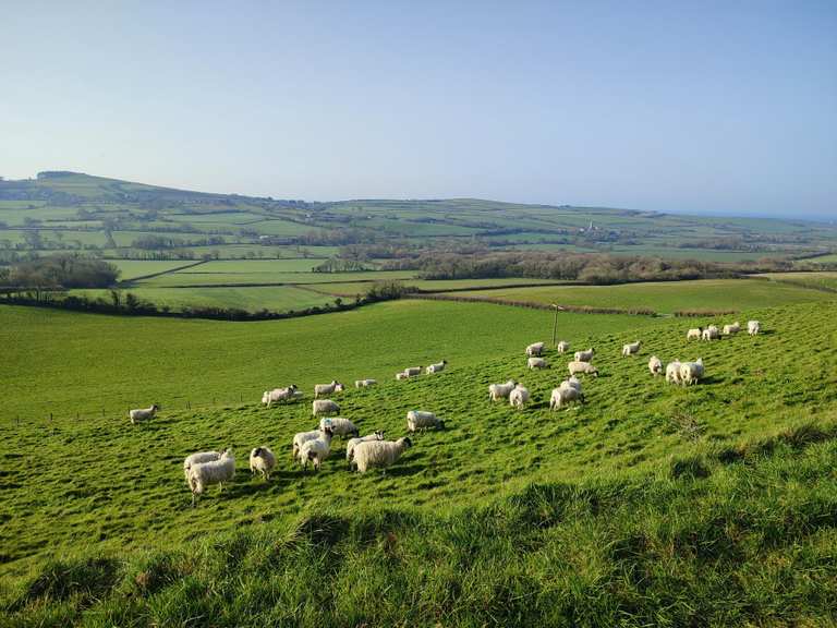 Top 10 Hikes and Walks around Litton Cheney | Komoot