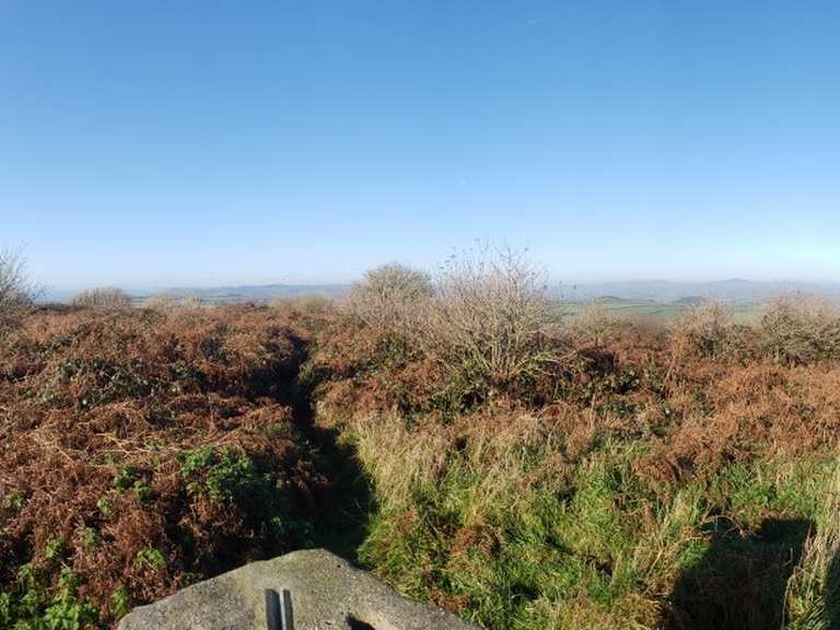 Top 9 Hikes and Walks around Shipton Gorge | Komoot