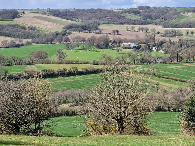Top 10 Hikes and Walks around Buckland Newton | Komoot