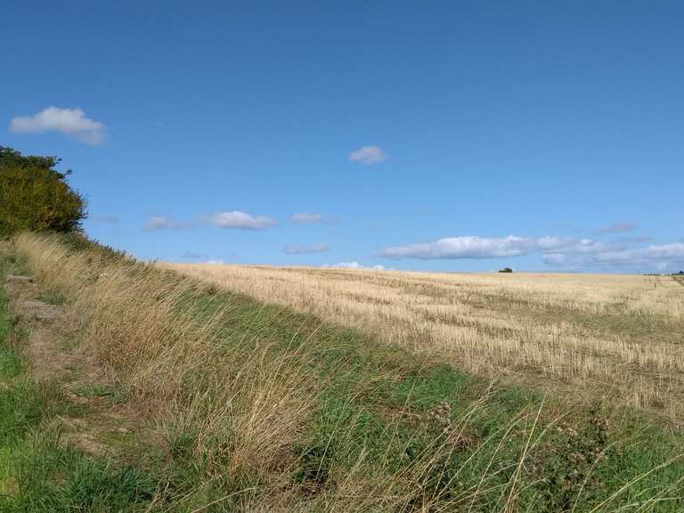 The best walks and hikes around Mirfield | Komoot