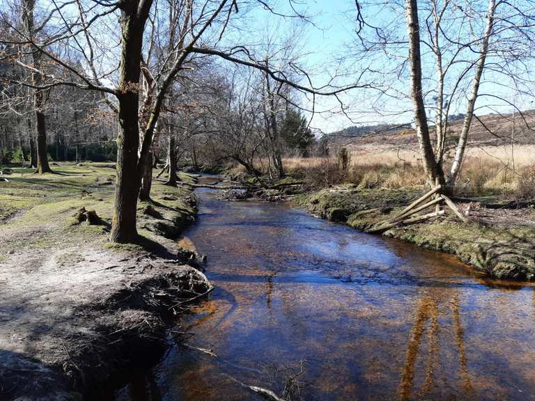Attractions and Places To See around Verwood - Top 20 | Komoot