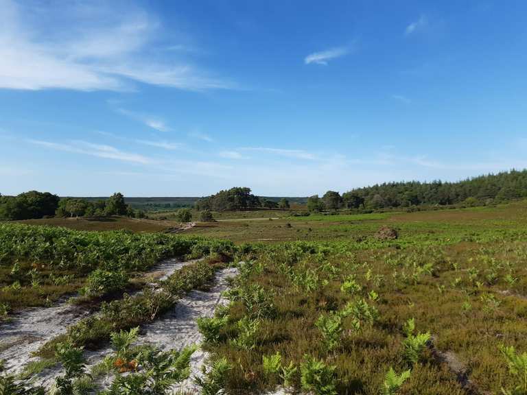 Attractions and Places To See around Damerham - Top 20 | Komoot