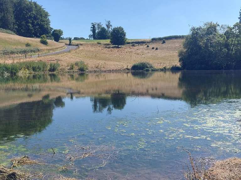 Top 8 Hikes and Walks around Teffont | Komoot