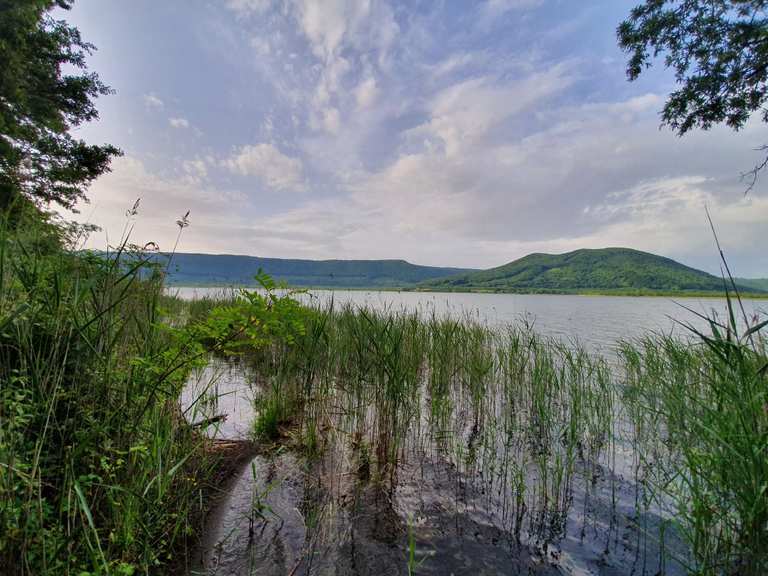 Top 6 Running Trails around Lago di Vico | Komoot