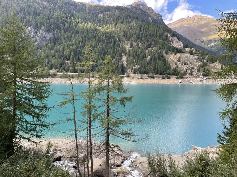 Top 5 Most Beautiful MTB Trails around Zufritt-Stausee - Lake di Gioveretto | Komoot