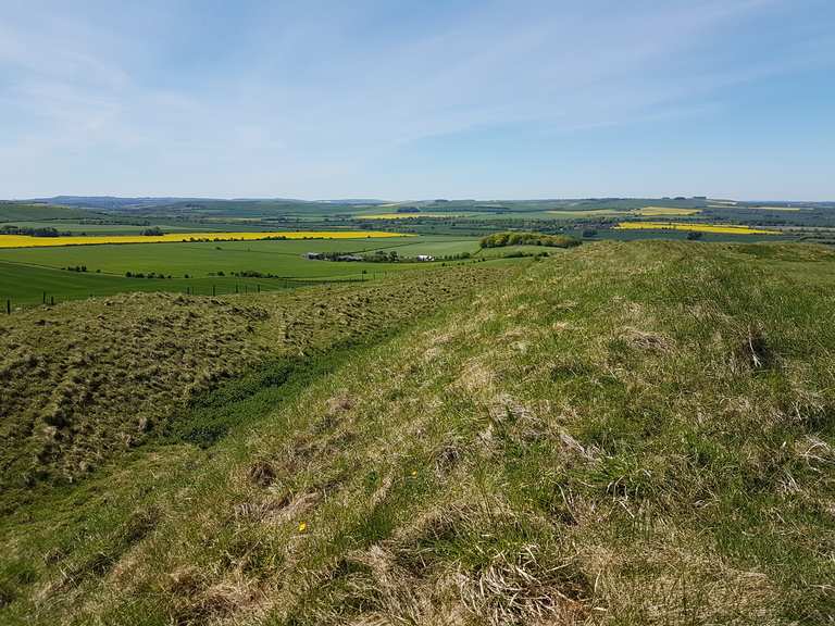 De 11 mooiste wandelroutes rond Chiseldon | Komoot