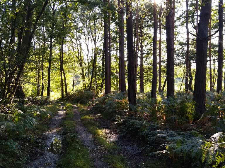 Top 10 Hikes and Walks around West Malling | Komoot