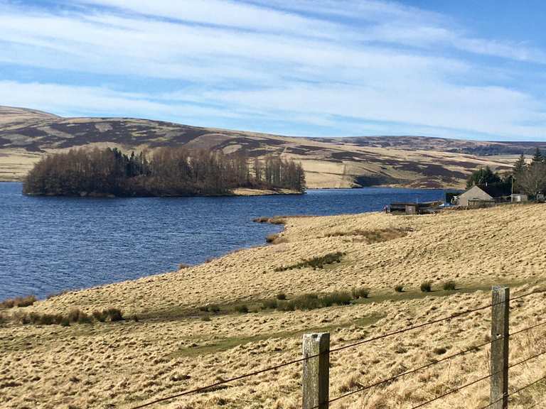 Top 8 Hikes and Walks around Whiteadder Reservoir | Komoot