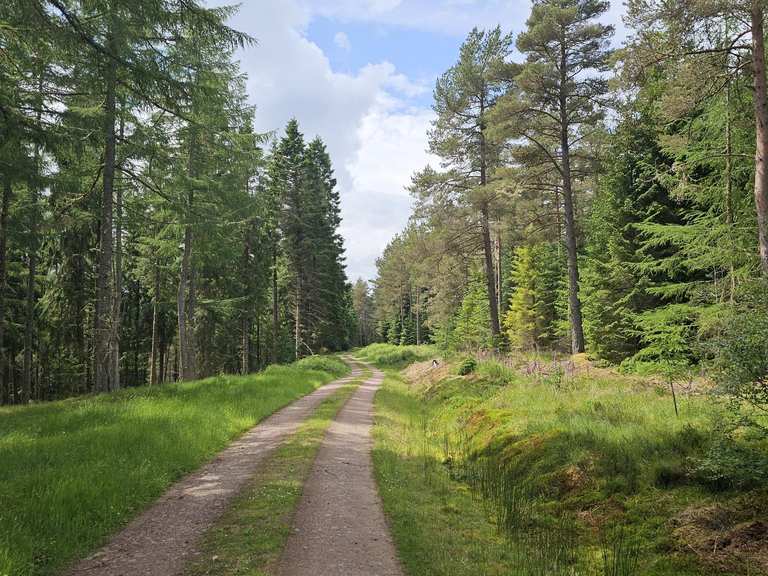 Top 7 Hikes and Walks around Loch Eye | Komoot