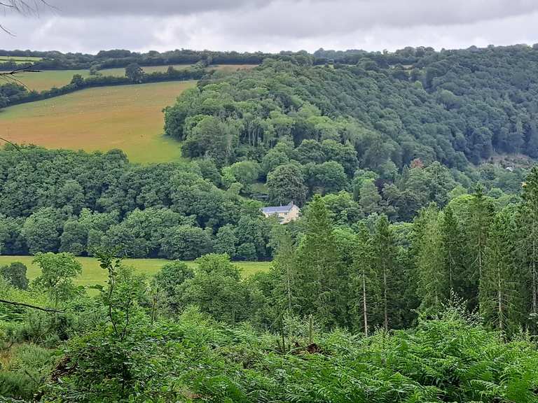 Top 5 Hikes and Walks around Witheridge | Komoot