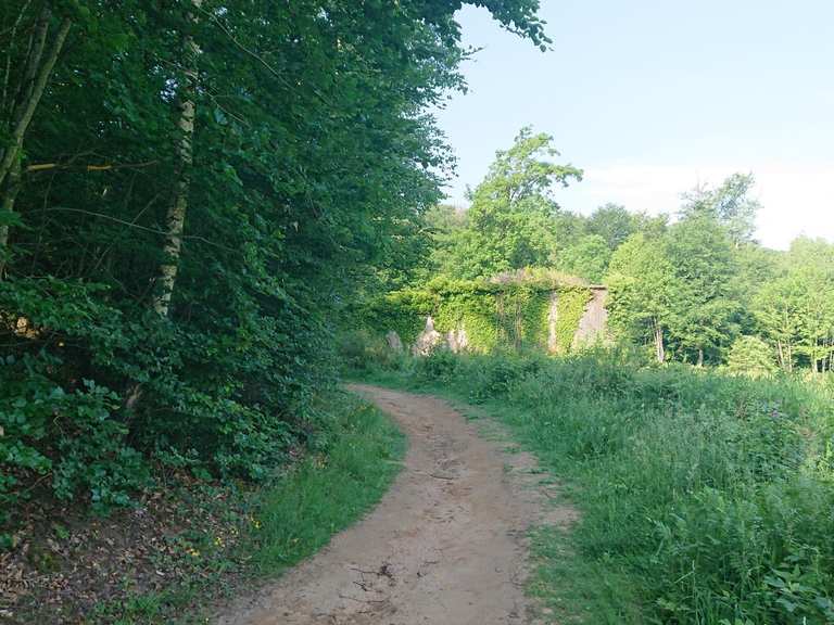 Top 20 Hikes and Walks in Capellen Canton | Komoot