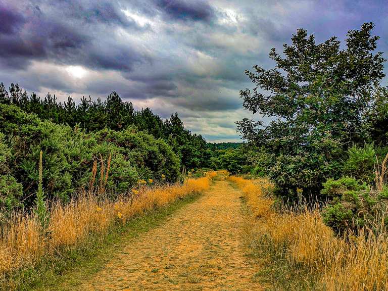 Top 10 Hikes and Walks around Aspley Heath | Komoot