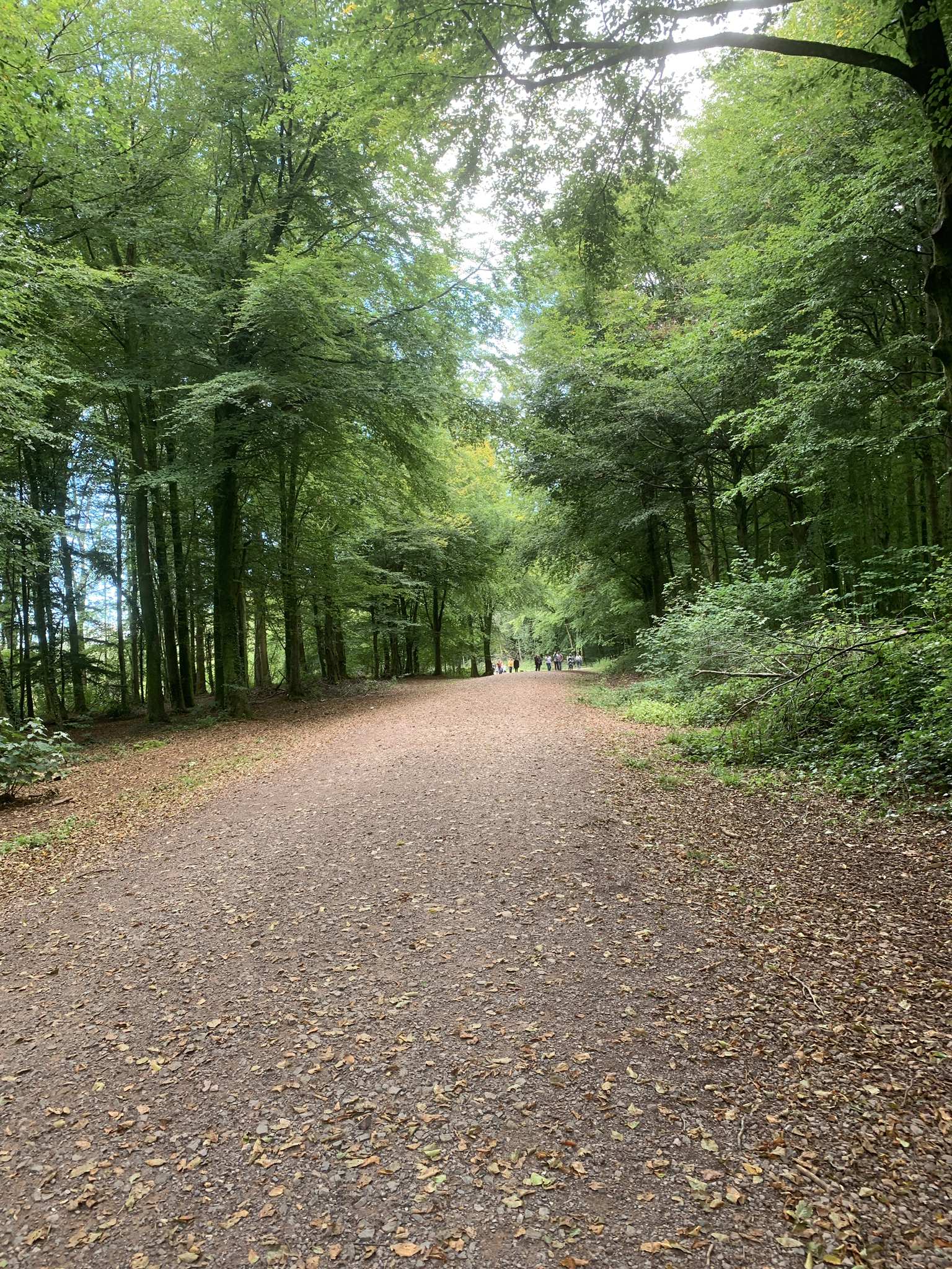Top 20 Bike Rides and Cycling Routes around Cardiff | Komoot
