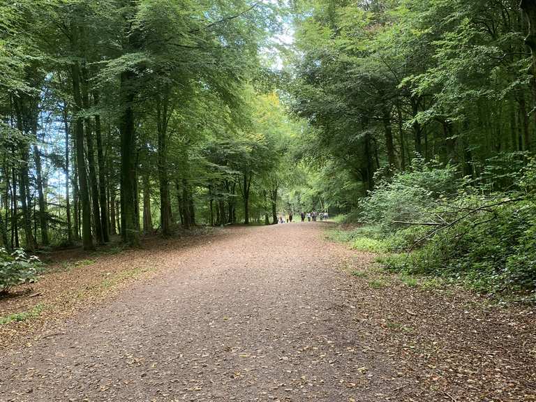 Top 10 Bike Rides and Cycling Routes around Cardiff | Komoot