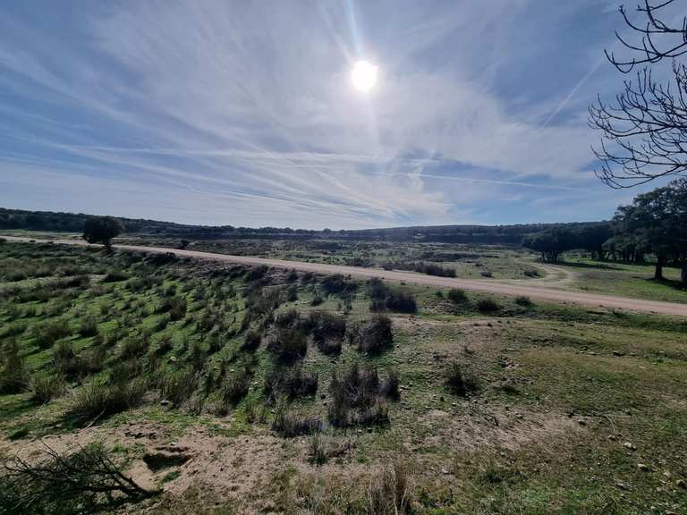 Top 10 randonnées et balades autour de Embalse de El Pardo | Komoot