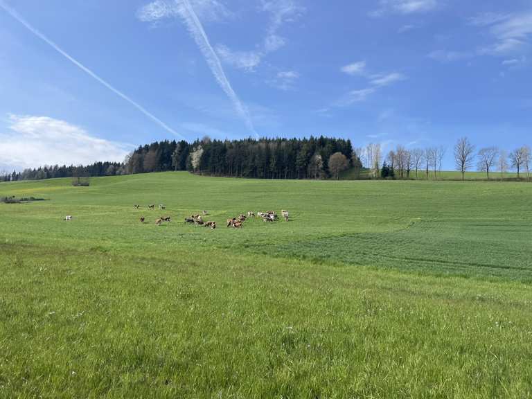 Die 10 schönsten Wanderungen rund um den Soppensee | Komoot