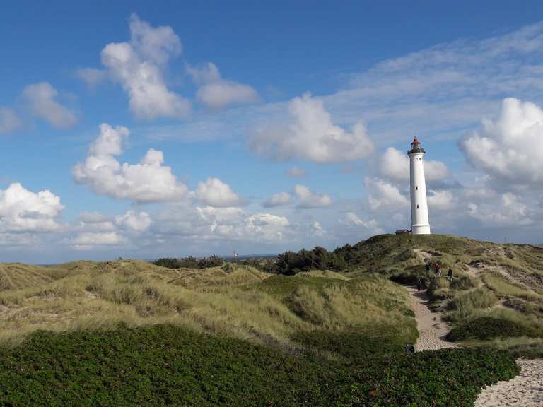 Top 20 Hikes and Walks in Central Denmark | Komoot
