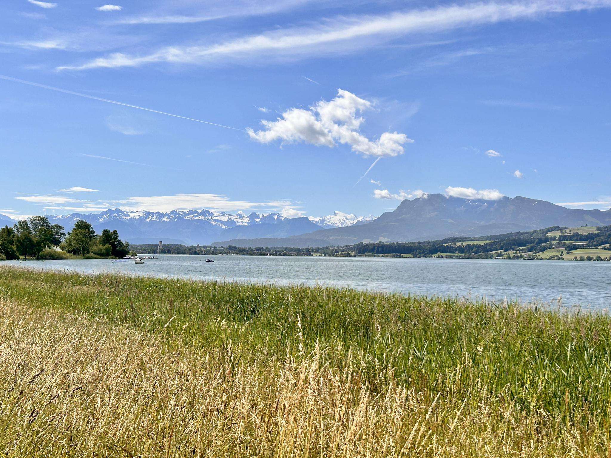 Die 10 schönsten Wanderungen rund um den Sempachersee | Komoot