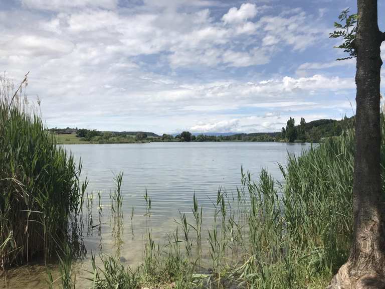 Die 10 schönsten Wanderungen rund um den Moossee | Komoot