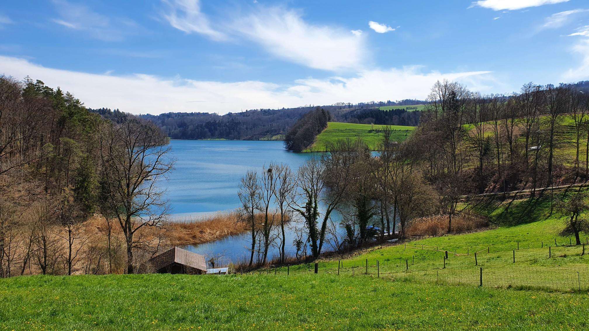 Die 10 schönsten Wanderungen rund um den Wohlensee | Komoot