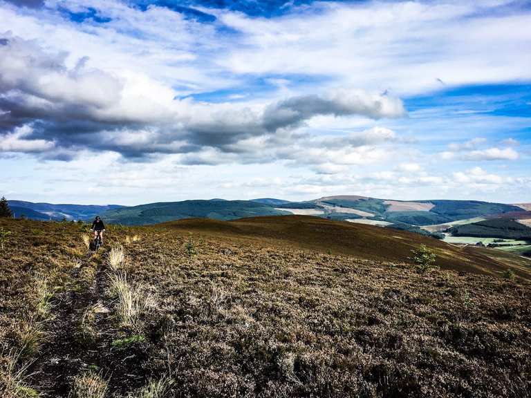 Top 10 Most Beautiful MTB Trails In South Scotland | Komoot