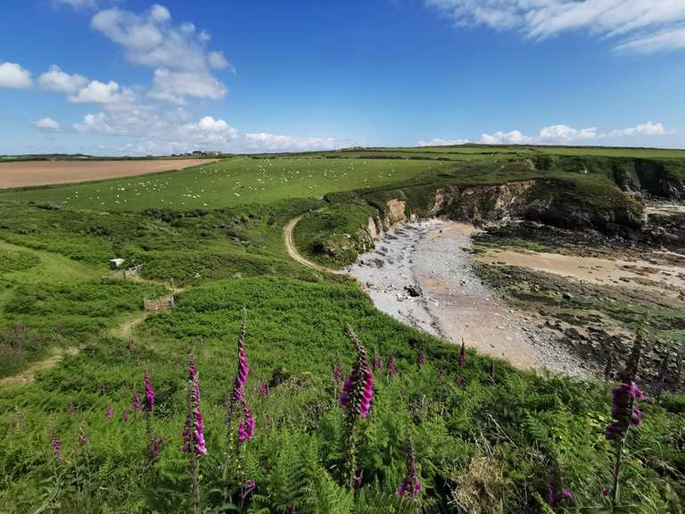 De mooiste bezienswaardigheden in Zuid-Wales - Top 20 | Komoot