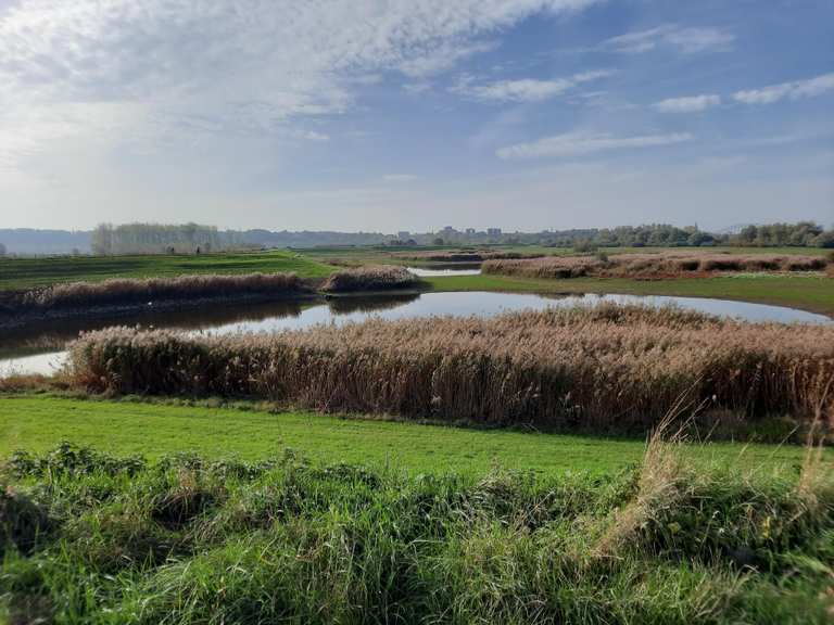 De beste wandelingen en hikes rond Berg En Dal | Komoot