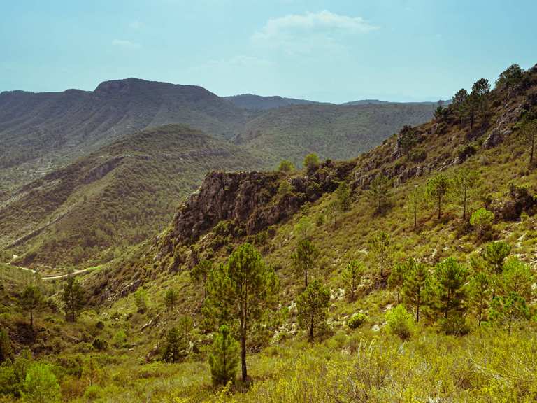 Top 10 Bike Rides and Cycling Routes around la Vall d'Albaida | Komoot