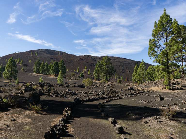 De 20 mooiste wandelroutes in Norte De Tenerife | Komoot